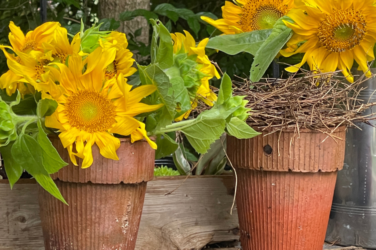 Vintage Turpentine Terracotta Pot – Fairy Dust and Rust